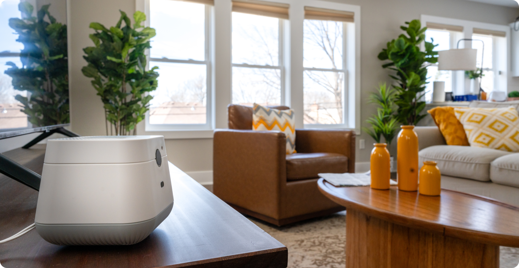 Nomo Smart Care Elderly Monitoring System | Elderly Fall Detection ...